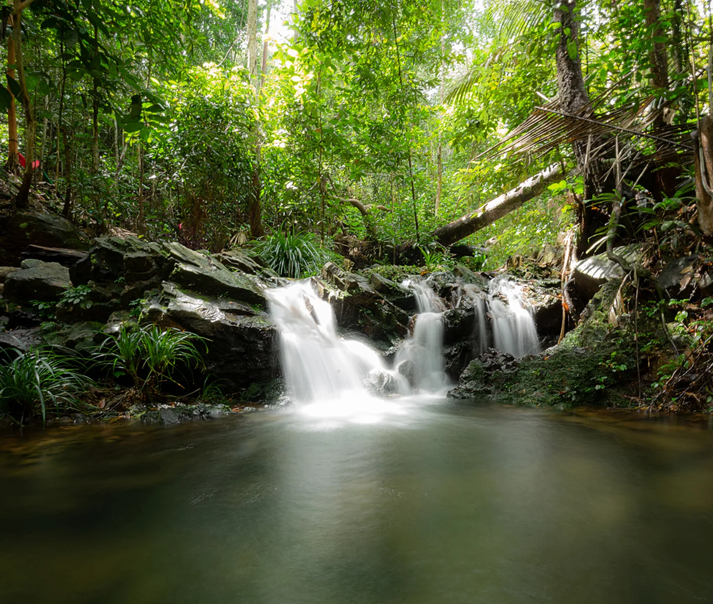 Panbil Nature Reserve - Panbil Hospitality, Batam | Official Site